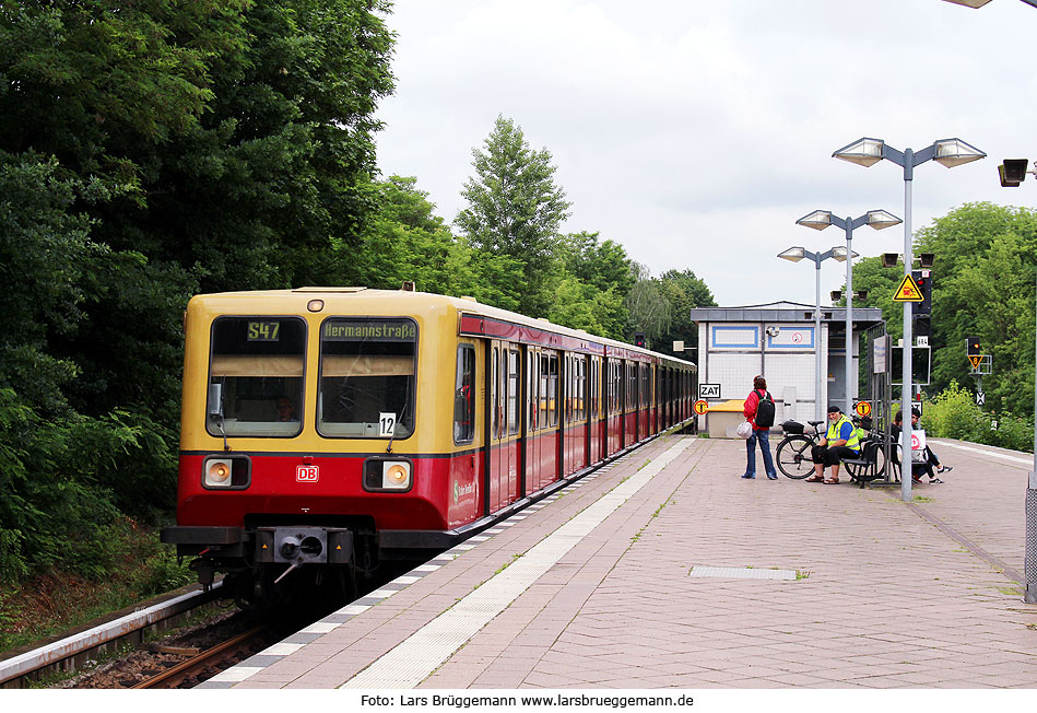 Die Baureihe 485 der Deutschen Bahn AG und Berliner S-Bahn